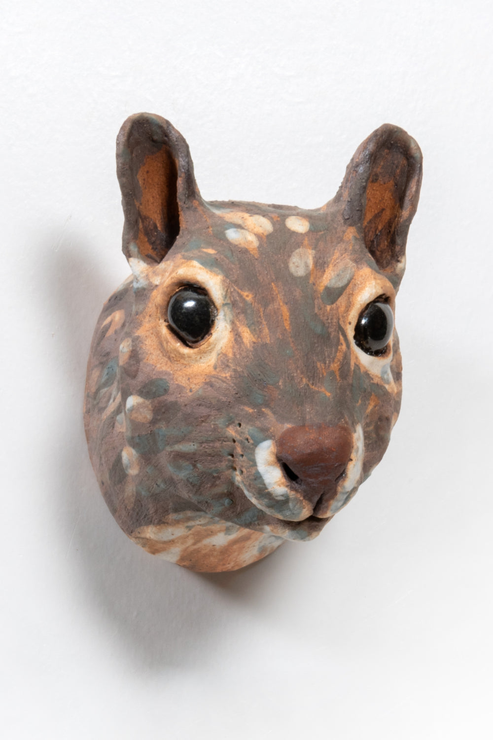 Chessie the Squirrel – Nahcotta