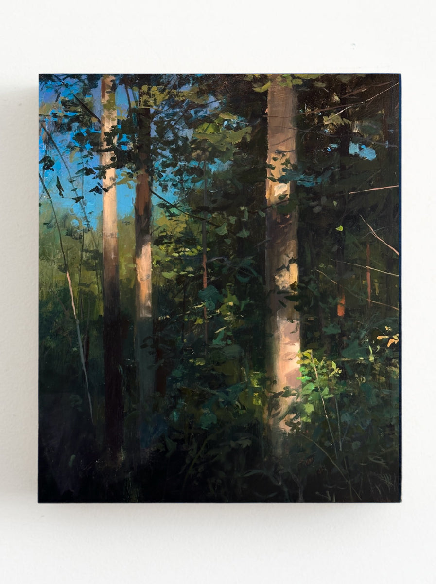 Maple Maze – Nahcotta