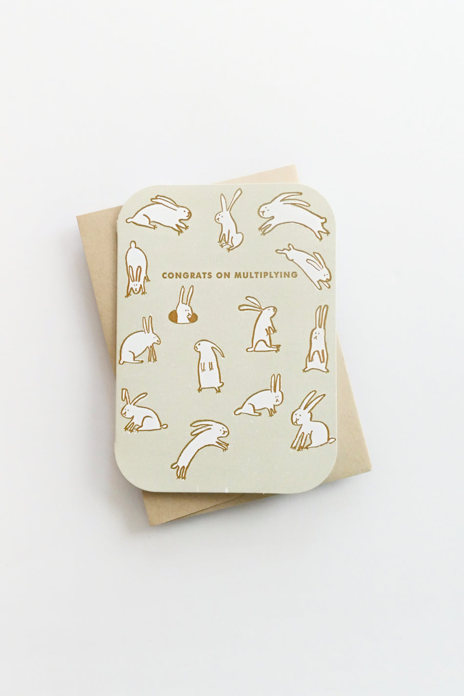 Multiplying Baby Rabbits Greeting Card – Nahcotta