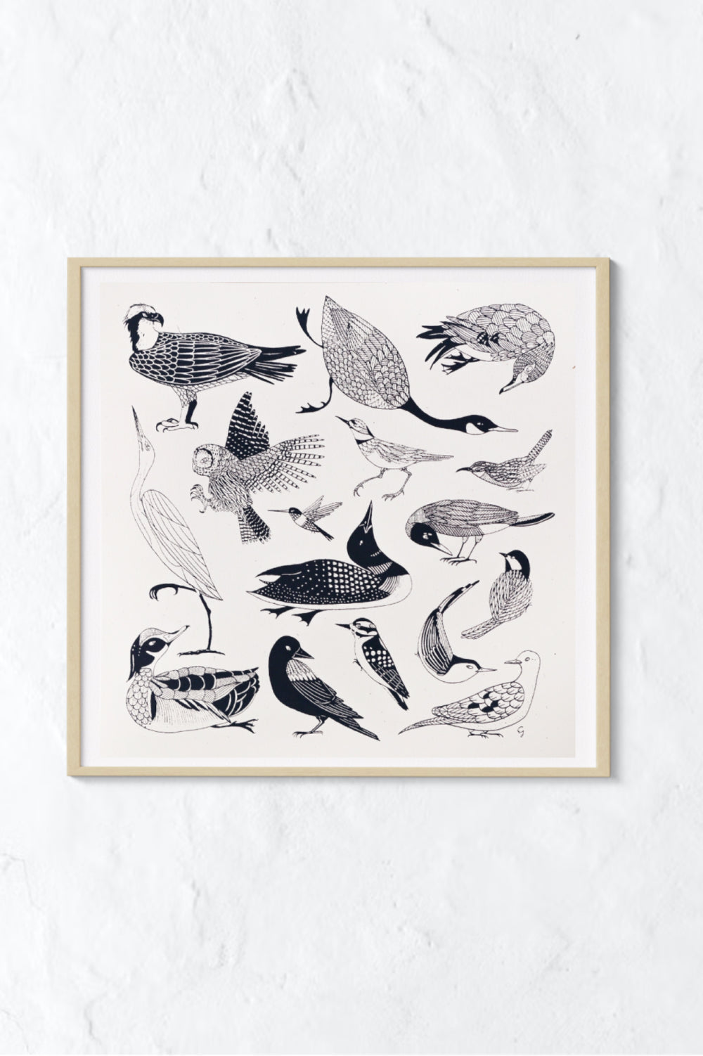 New England Birds Screen Print – Nahcotta