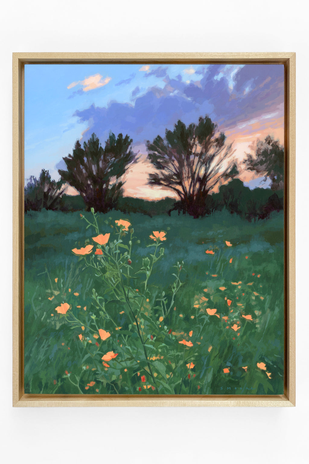 Sweet Mallow Sunset – Nahcotta