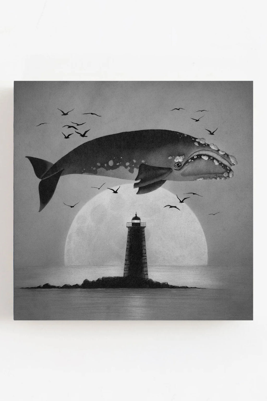 The Whaleback Lighthouse – Nahcotta