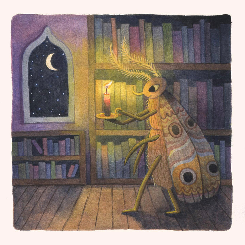 Moth-bitten Library – Nahcotta