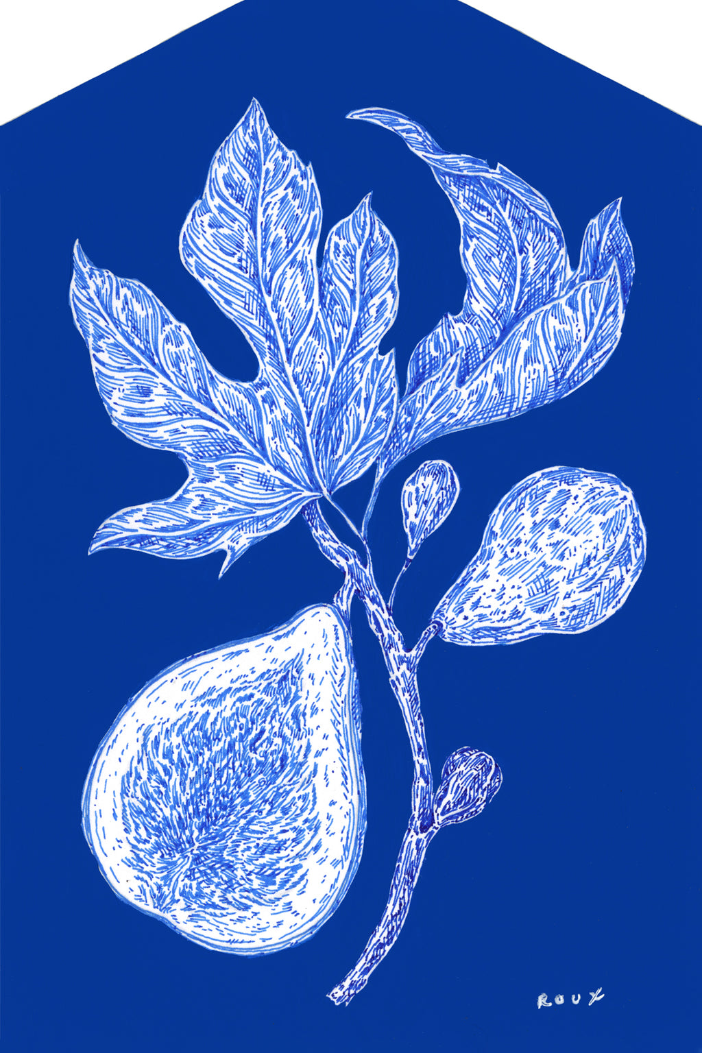 Fig – Nahcotta