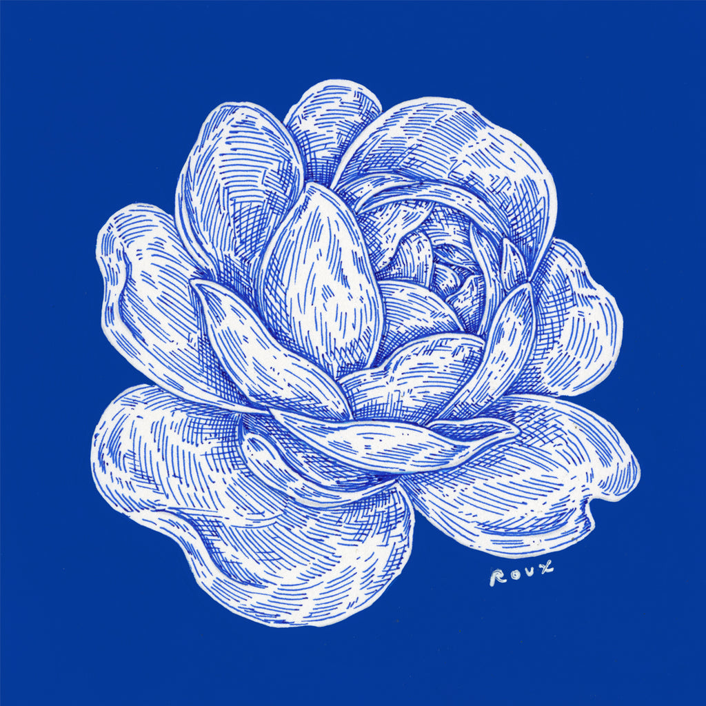 Rose – Nahcotta