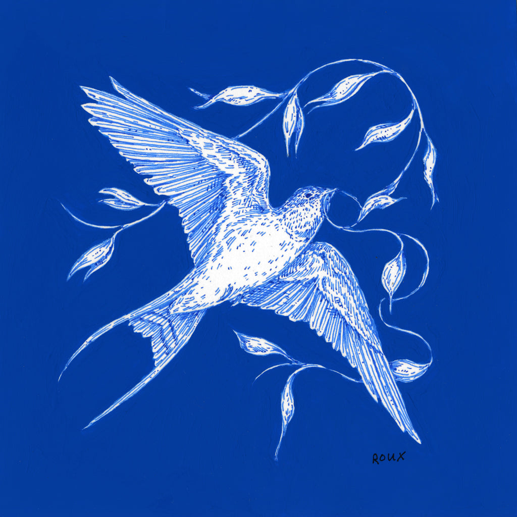 Swallow – Nahcotta